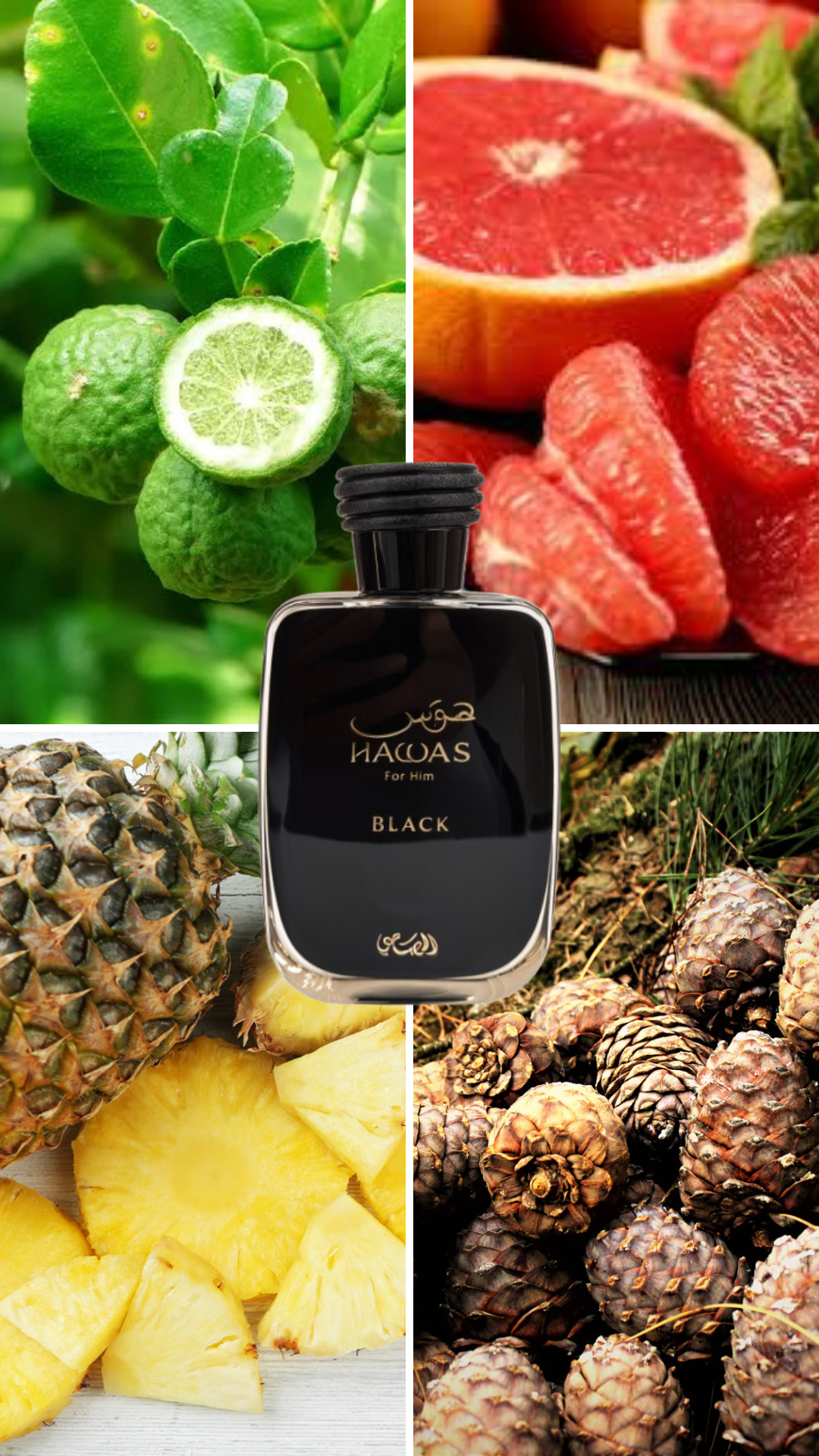 Rasasi Hawas Collection: Luxury Fragrance for Men